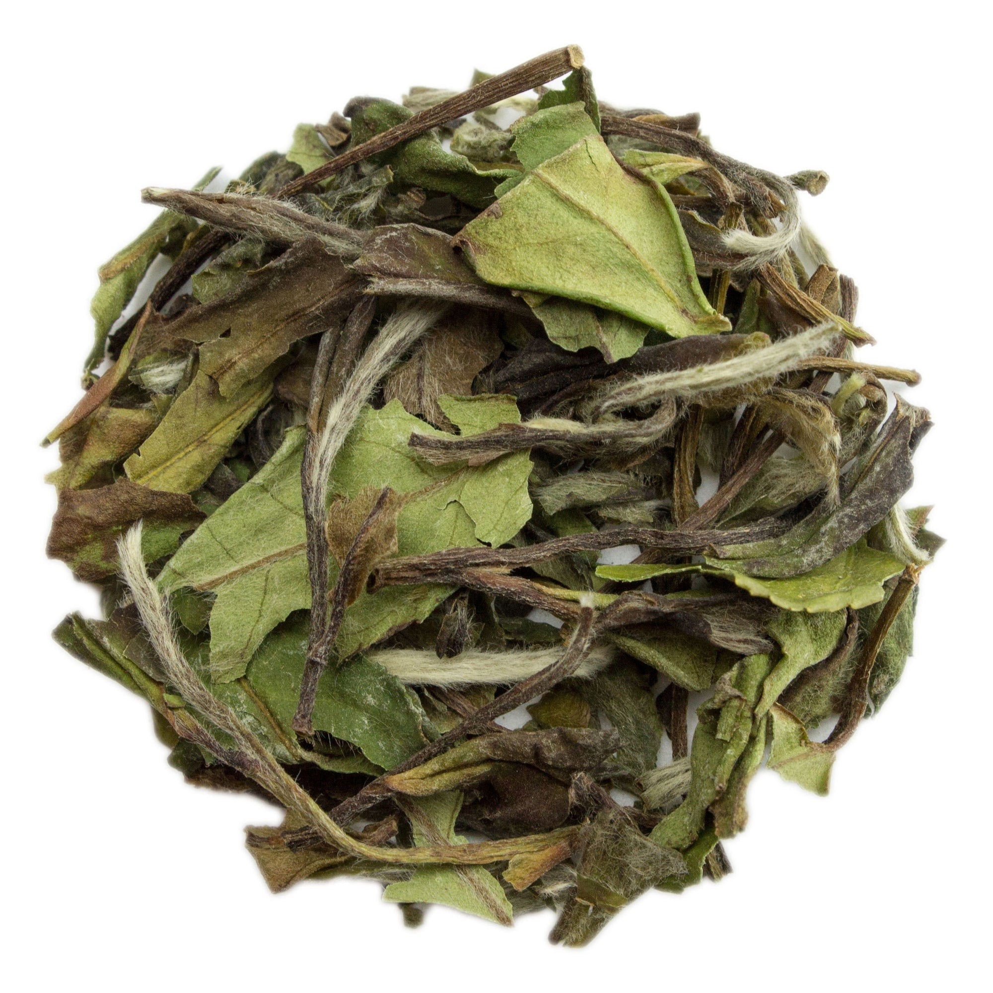 Pai Mu Dan White Tea - PekoeTea Edinburgh